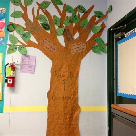 What Is A Class A Tree At Ashley Mullen Blog