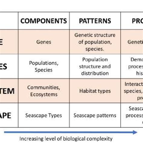 The Biodiversity Hierarchy Adapted From Peck 1998 Download Scientific Diagram