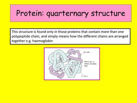 Ppt Proteins Powerpoint Presentation Free Download Id 6852573