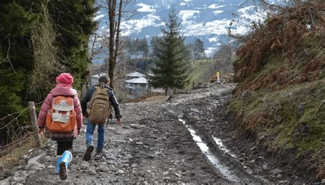 საქართველოში მდებარე 2 სკოლაში თითო თითო მოსწავლე ირიცხება 4 სკოლაში 2 2 მოსწავლე 9 სკოლაში 3