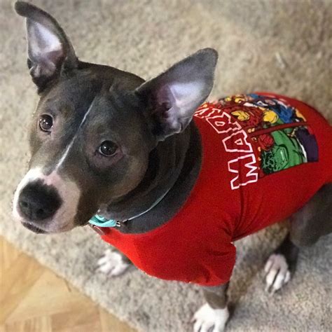 Azula The Pit Loves Marvel Rmarvel