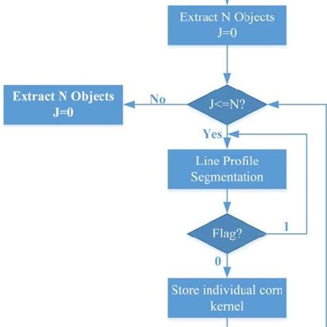 The Segmentation Process Is Explained By A Flow Chart Download Scientific Diagram