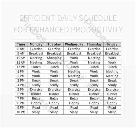 efficient daily schedule for enhanced productivity excel template