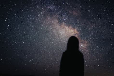 코리안 숏헤어 종류 및 특징