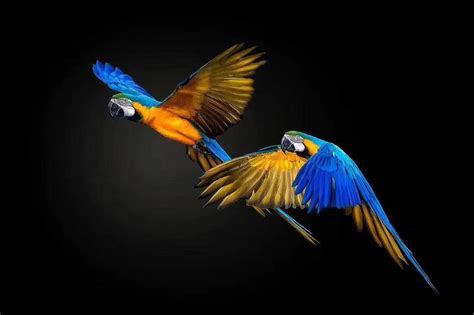 Jdk18 Util Concurrent Reentrantlock源码分析(二) 知乎 Jdk18 Util Concurrent Reentrantlock源码分析(二) 知乎