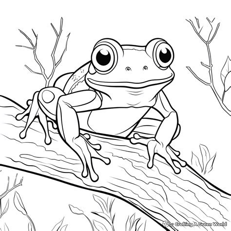 Tree Frog Coloring Pages Free Printable