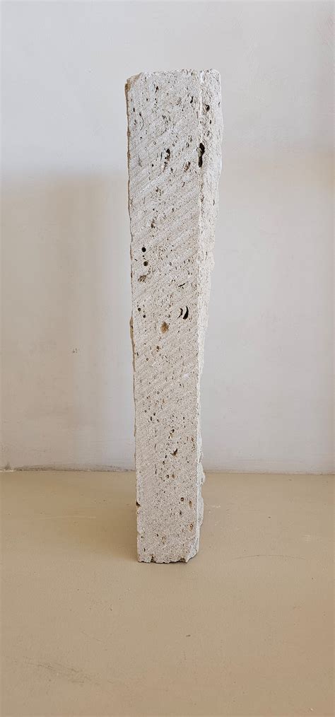 Limestone With Seashell Shells Imprint Pedestal Column Etsy
