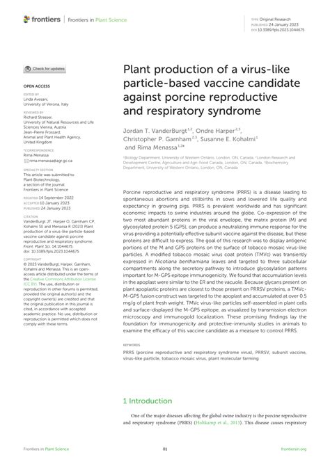 Pdf Plant Production Of A Virus Like Particle Based Vaccine Candidate Against Porcine