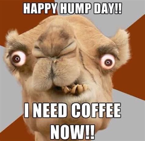 60 Wednesday Coffee Memes Images And Pics To Get Through The Week