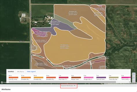 View Map Layers Granular Insights