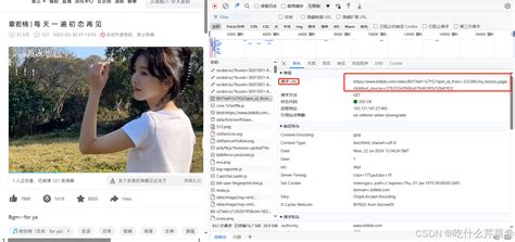 Python 爬虫实例（4）：获取某站的某某的视频爬取b站视频的代码怎么写 Csdn博客
