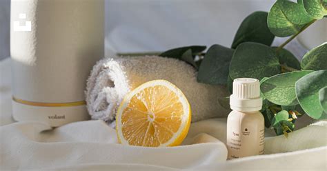 레몬 옆에 에센셜 오일 한 병 사진 Unsplash의 무료 식물 이미지