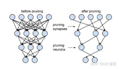 模型剪枝：给模型剪个头发 知乎