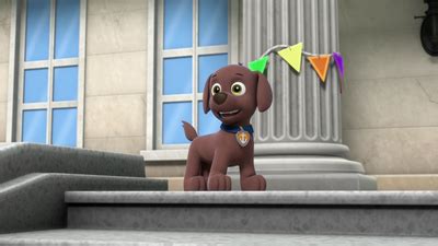 Watch Paw Patrol Season 7 Episode 10 Pups Save A Big Bad Bird Crew