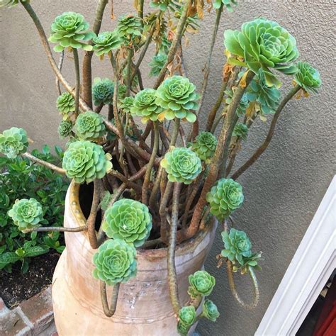 Wa Lance★★オフィシャルブログ