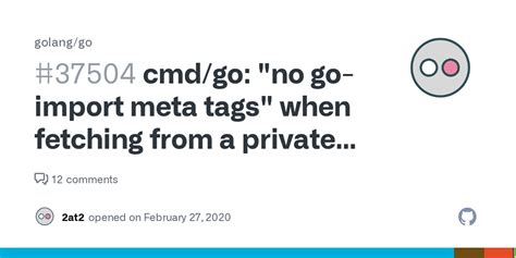 cmd go no go import meta tags when fetching from a private gitlab repo · issue 37504