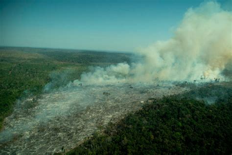 Desmatamento Da Amazônia é O Maior Dos últimos 10 Anos Ciclovivo
