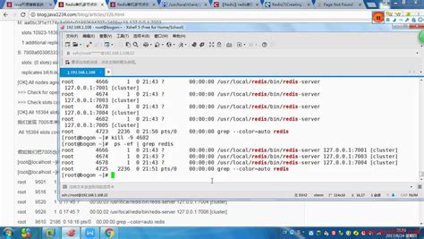【一头扎进redis】视频教程第六讲java知识分享网 免费java资源下载 【一头扎进redis】视频教程第六讲java知识分享网 免费java资源下载