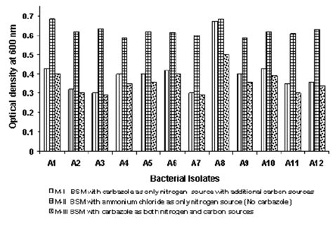 Spectrophotometric Observations At 600 Nm For All Isolates In Different