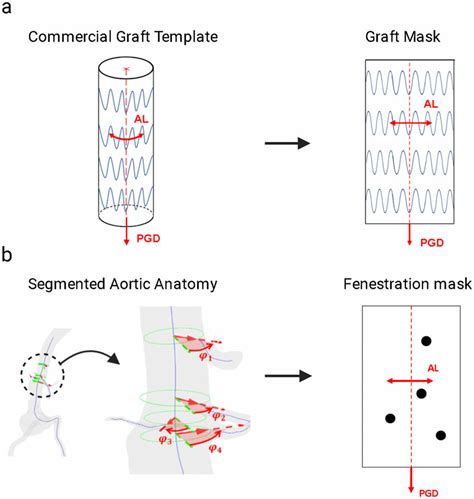 Generation Of Fenfit 2d Image Masks A Flattening Of The 3d Graft