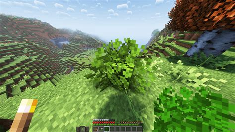 All Leafs Have Some Weird Decal Clipping Through Them Rminecraft