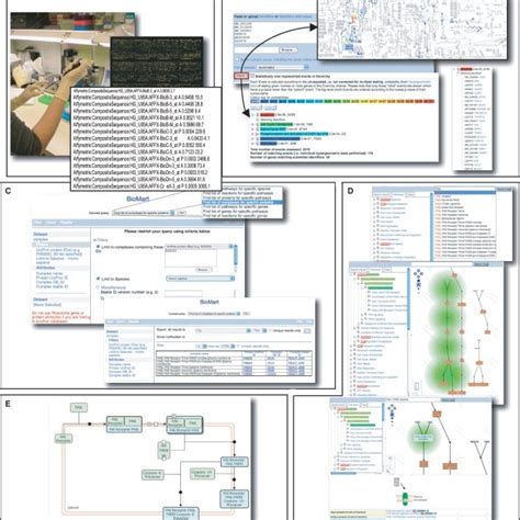 Practical Applications Of Reactome Tools In Data Analysis Gene Sets Download Scientific