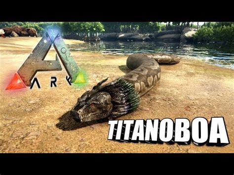Taming A Titanoboa Ark Survival Evolved The Island Tidyhosts Videos