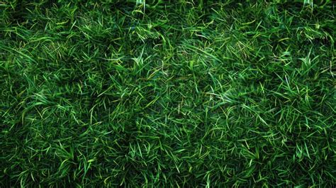 Cut Grass Texture Images Free Download On Freepik