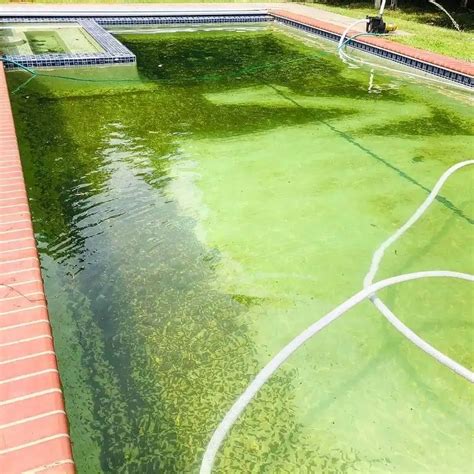 Algae And Stain Removal System Pools Rockville Md