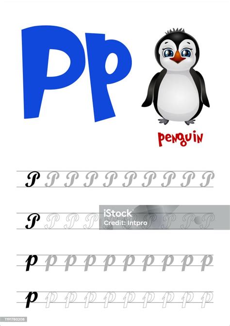 재미있는 만화 펭귄과 함께 대문자와 소문자 P를 쓰는 것을 가르치는 영어 알파벳의 디자인 페이지 레이아웃 플랫 스타일 벡터