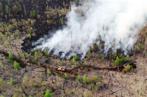 Лесопожарная обстановка в Хабаровском крае улучшается