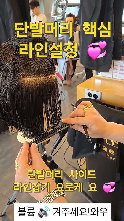 보브컷 단발머리 핵심 요고에요💞보브컷보브단발단발머리단발스타일링뷰티사모님머리헤어스타일헤어여자머리여자머리추천shortshaircuthair중년머리