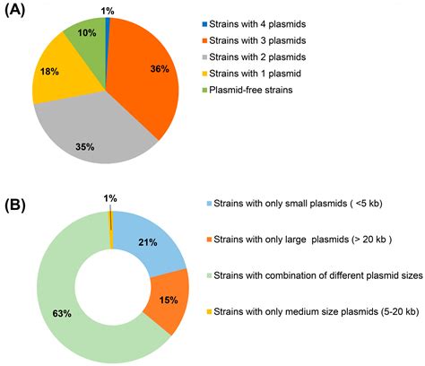 The Plasmidomic Landscape Of Clinical Methicillin Resistant Staphylococcus Aureus Isolates From