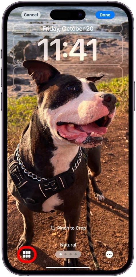 잠금 화면이 계속 변경되는 이유 및 다시 되돌리기ios 17 Apple 기기에 대한 팁 요령 및 유용한 해킹