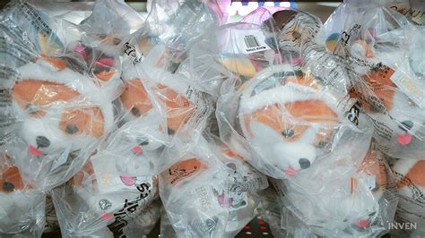 복실복실 귀여운 모자가 가득 플레이엑스포 마켓인벤