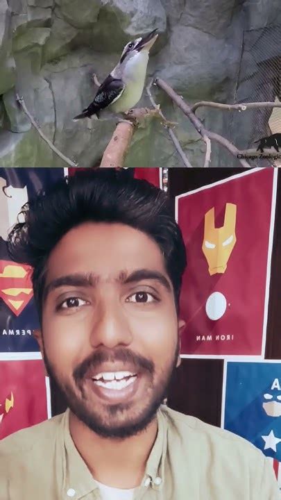 இந்த பயங்கரமான பறவை பற்றி தெரியுமா உங்களுக்கு Facts Factstamilan Viralvideo Tamil Youtube