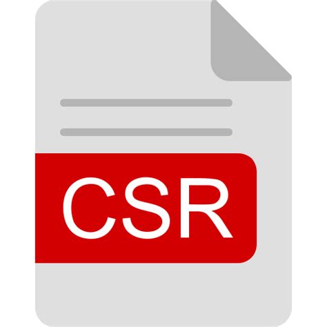 CSR File Format Generic Flat Icon