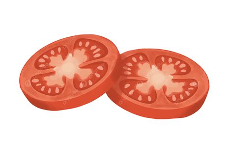 Ilustrasi Irisan Tomat Kartun Tomat Makanan Buah Png Transparan Clipart Dan File Psd Untuk