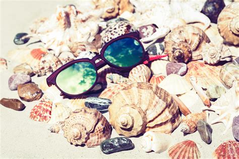 선글라스 조개 바다 별 산호와 모래에 돌 텍스트 복사 공간 여름 해변 배경 여행 개념 0명에 대한 스톡 사진 및 기타 이미지 Istock