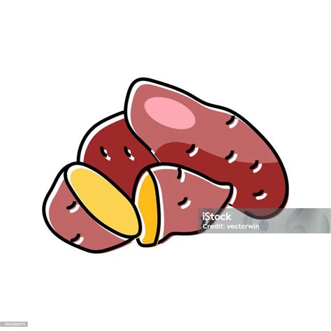 잘 익은 감자 달콤한 컷 색상 아이콘 벡터 일러스트 레이 션 구이에 대한 스톡 벡터 아트 및 기타 이미지 구이 굽기 노랑 Istock