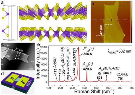 Photoresponsive And Gas Sensing Field Effect Transistors Based On