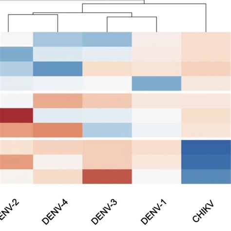 Hierarchical Clustering Analysis Comparing Cytokine Production Of Acute Download Scientific