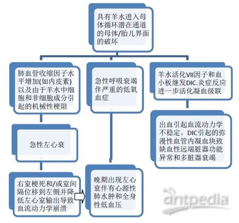 让刘强东妹妹死亡的羊水栓塞究竟是什么病 分析行业新闻
