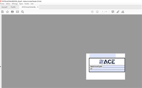 Solved Creation Of A Custom Dynamic Stamp With Identifier Adobe
