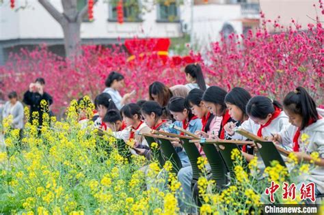 广西梧州学生乡间写生 绘就春日图景 极目新闻