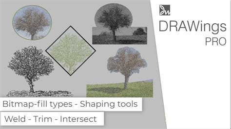 Mastering Shaping Tools For Bitmap Fill Types Weld Trim And