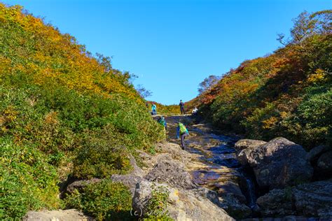 紅葉の栗駒山登山 美しい神の絨毯と混雑状況（いわかがみ平のマイカー規制） 旅かめら