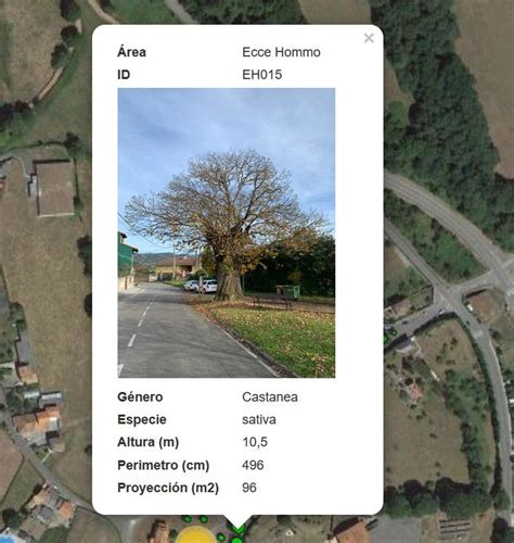 Qgis Center Popups In Qgis Web WebMap Geographic Information Systems Stack Exchange