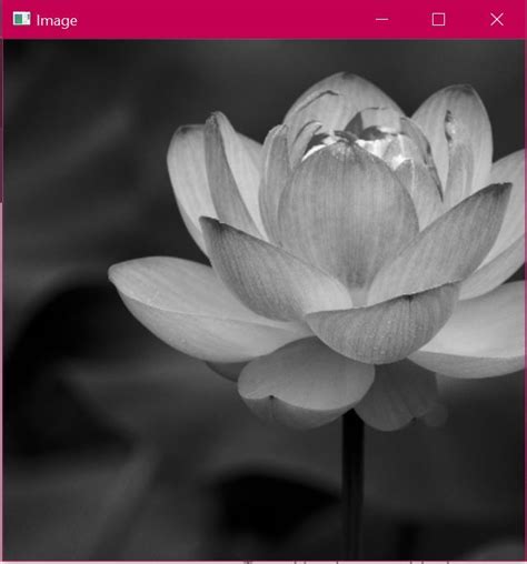 Detect Eyes And Detect Faces In Python Copyassignment