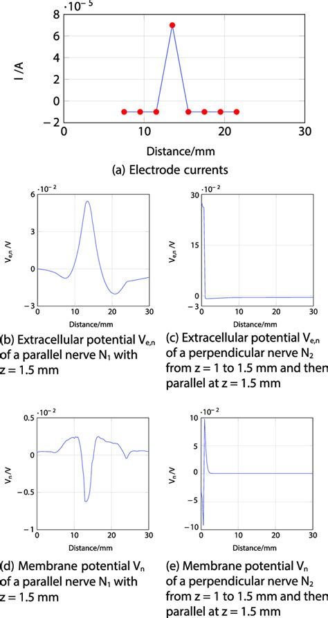 Anodic Es Simulation Of A Nerve Fibre Running Parallel To The Skin At Download Scientific